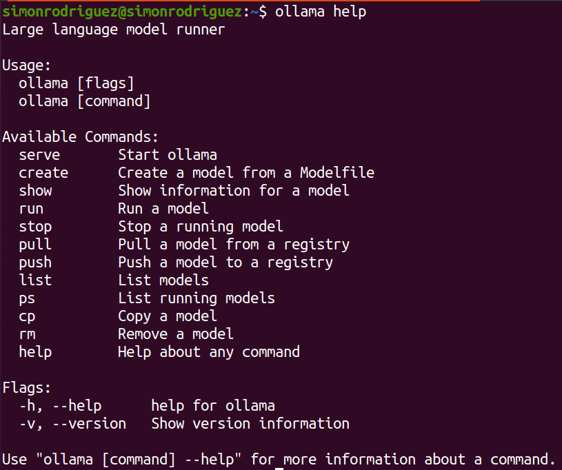 Running LLMs Locally: Getting Started with Ollama - Paradigma