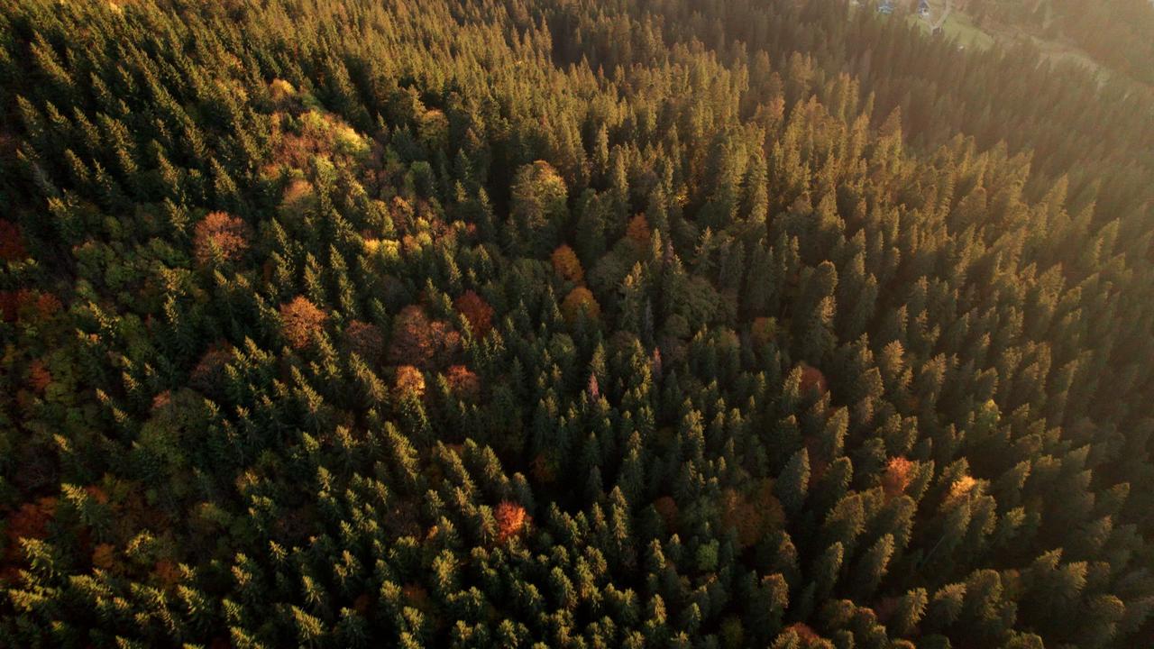 NetZero, digitalización para la transición energética - Paradigma