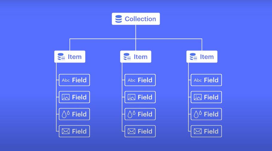 ¿Qué es Webflow? - Paradigma